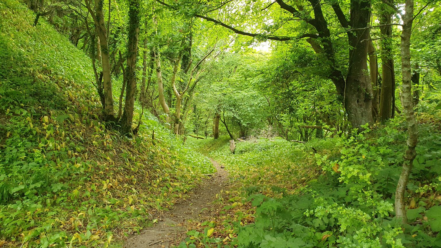 Ways to spot a lost path – Stanfords Blog