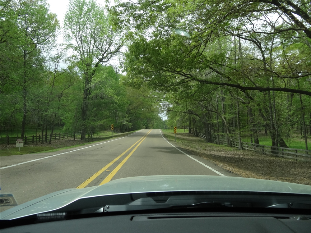Looking for Petrified Forest – Stanfords Blog