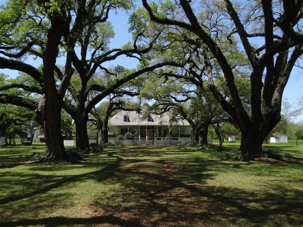 Louisiana – Stanfords Blog
